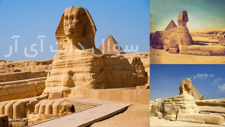 چربی ها بعد از آب شدن کجا می روند؟! | سوال دات ای ار